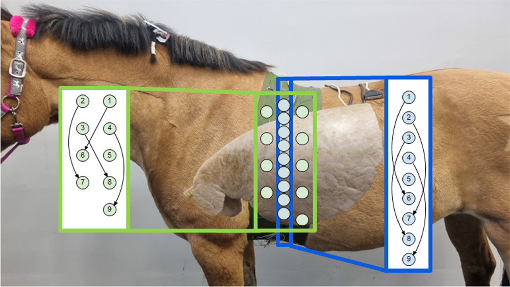 Validation of three-dimensional thoracic electrical impedance ...