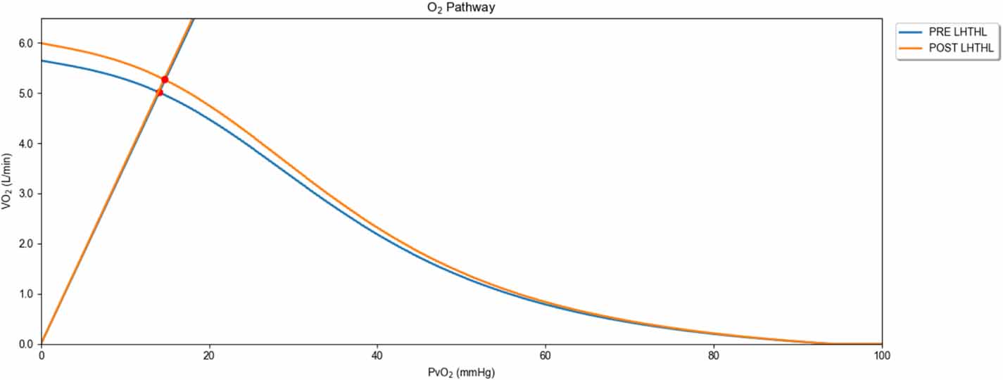Wagner diagram for modeling O2 pathway—calculation and graphical ...