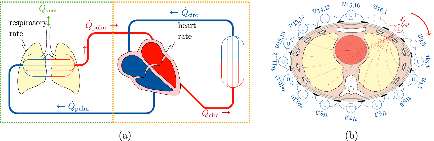 Separation of ventilation and perfusion of electrical impedance ...
