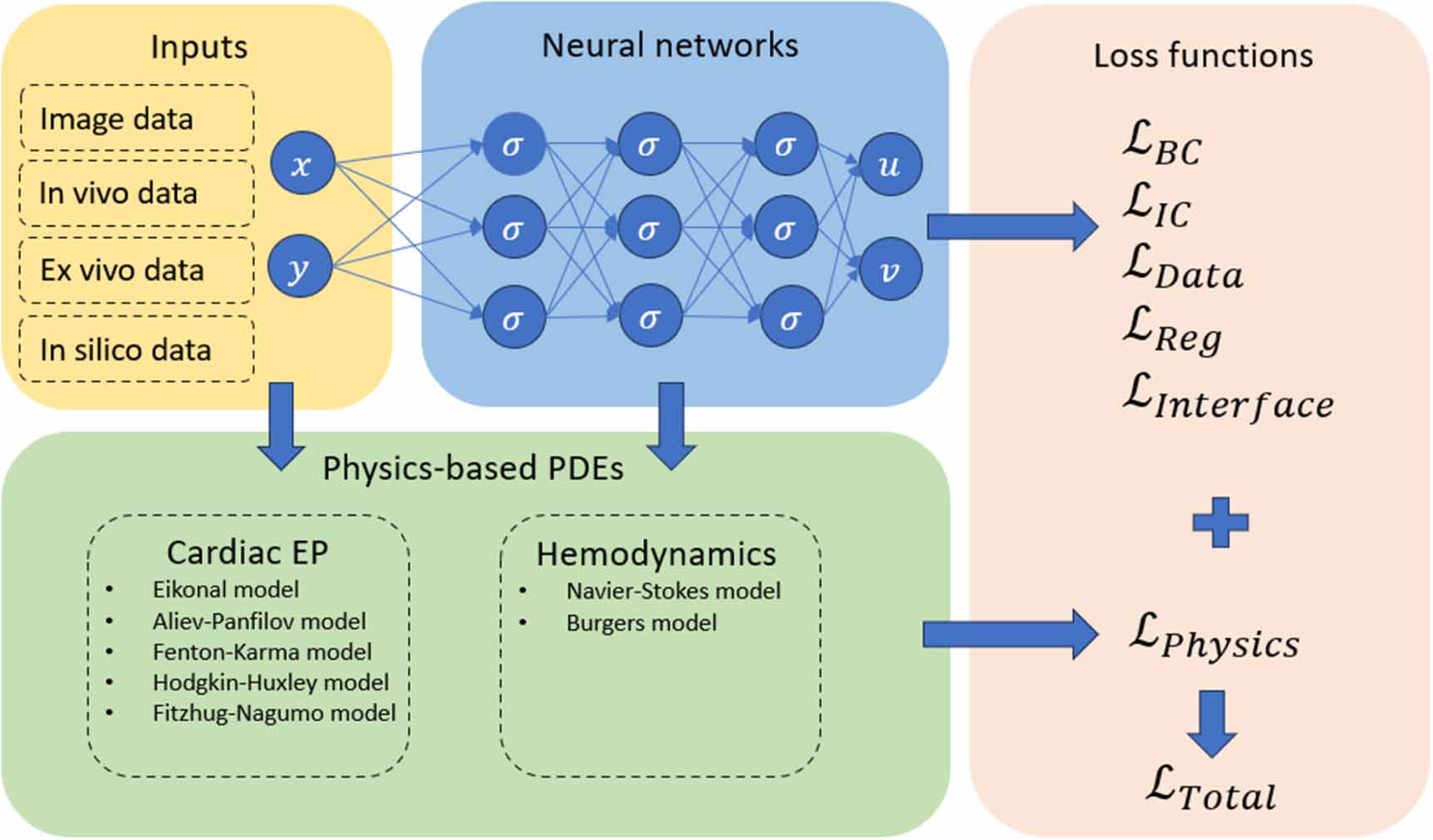 Physics-informed neural networks for physiological signal processing ...
