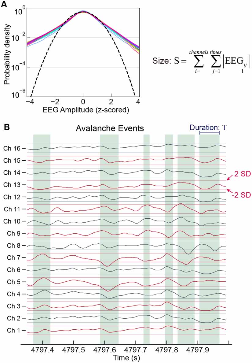 Disrupted near-critical dynamics and fragmented sleep in insomnia ...