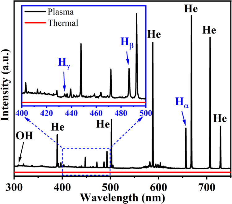 The effects of radio frequency atmospheric pressure plasma and thermal ...