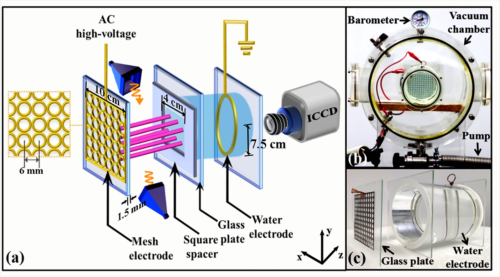 Reconfigurable (4, 62) and (4, 82) Archimedean plasma photonic crystals ...