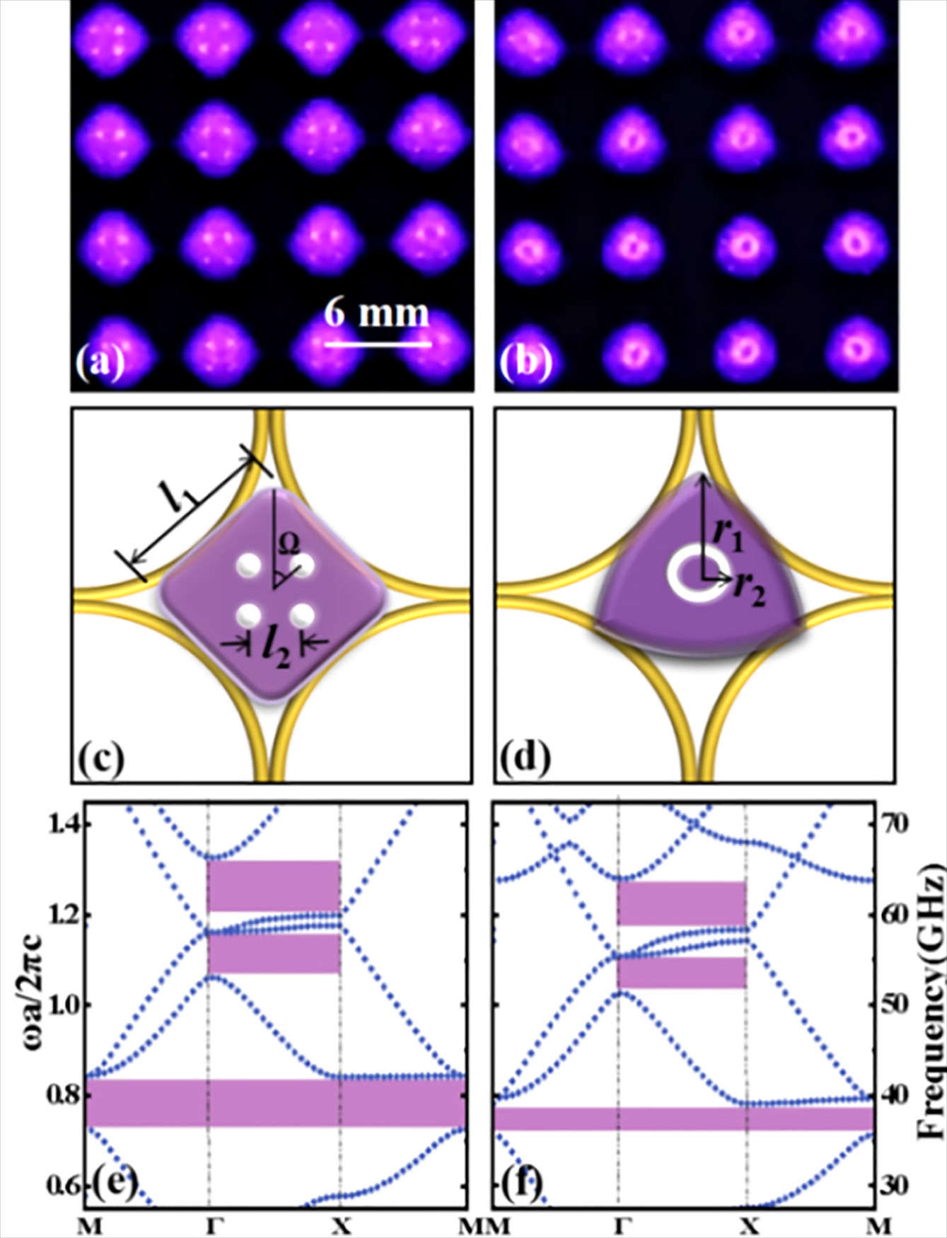 Reconfigurable (4, 62) and (4, 82) Archimedean plasma photonic crystals ...