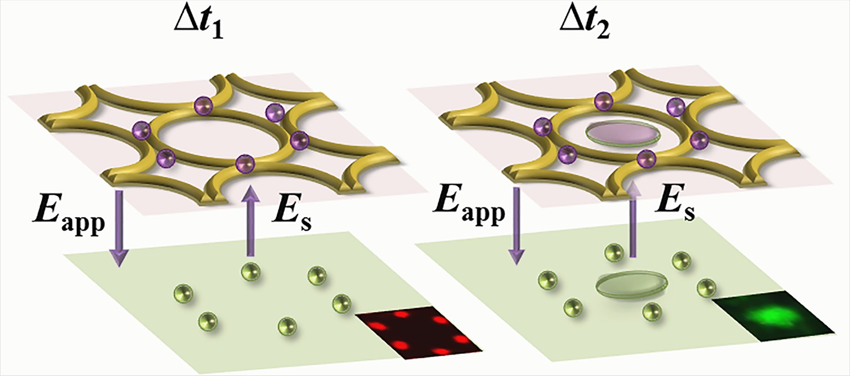 Reconfigurable (4, 62) and (4, 82) Archimedean plasma photonic crystals ...