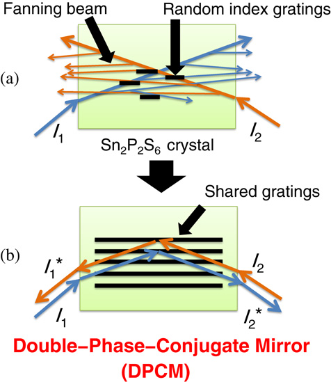 Background light reduction method with a double phase conjugate mirror ...