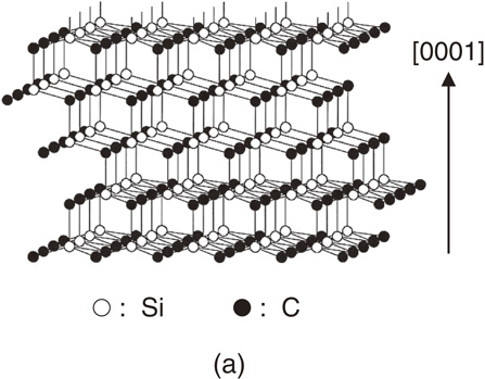 Material science and device physics in SiC technology for high-voltage ...