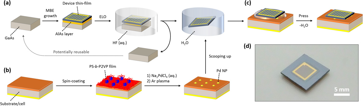 Palladium nanoparticle array-mediated semiconductor bonding that ...