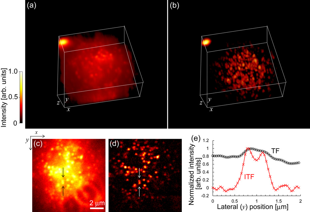 Temporal focusing microscopy combined with three-dimensional structured ...
