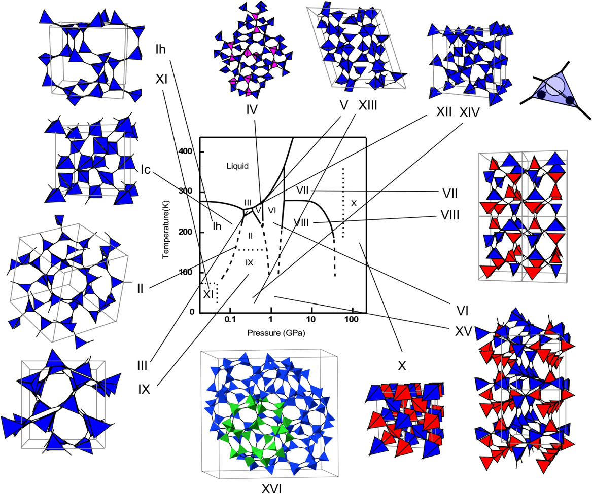 First principles study of volume isotope effects in ices VIII and X ...