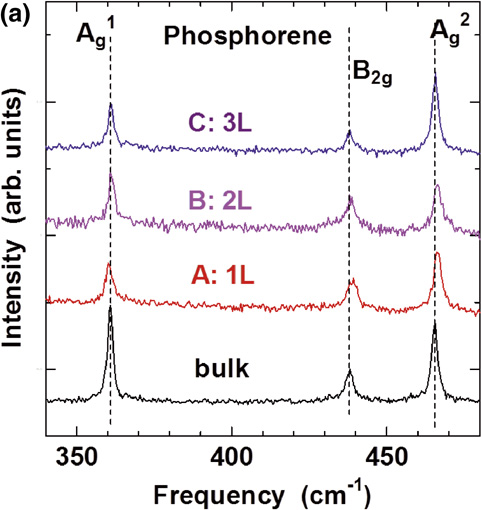 Raman spectroscopy of two-dimensional material under high pressure ...