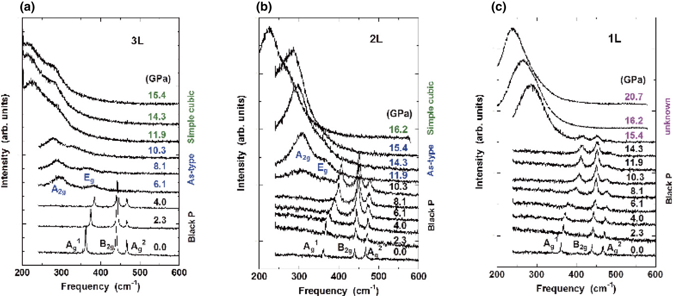 Raman spectroscopy of two-dimensional material under high pressure ...