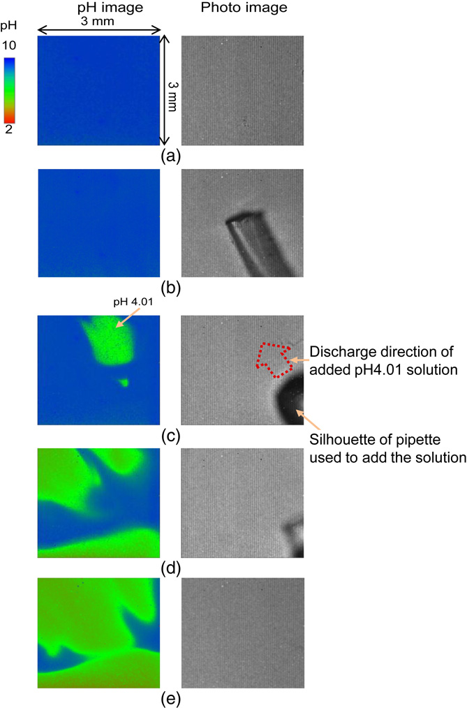 Ion image sensors and their application for visualization of neural ...