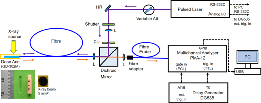 Performance characterisation of a real-time fiber dosimetry system ...