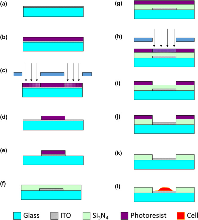 Microelectrode array for noninvasive analysis of cardiomyocytes at the ...