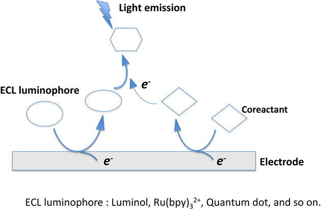 Luminol-based electrochemiluminescent biosensors for highly sensitive ...