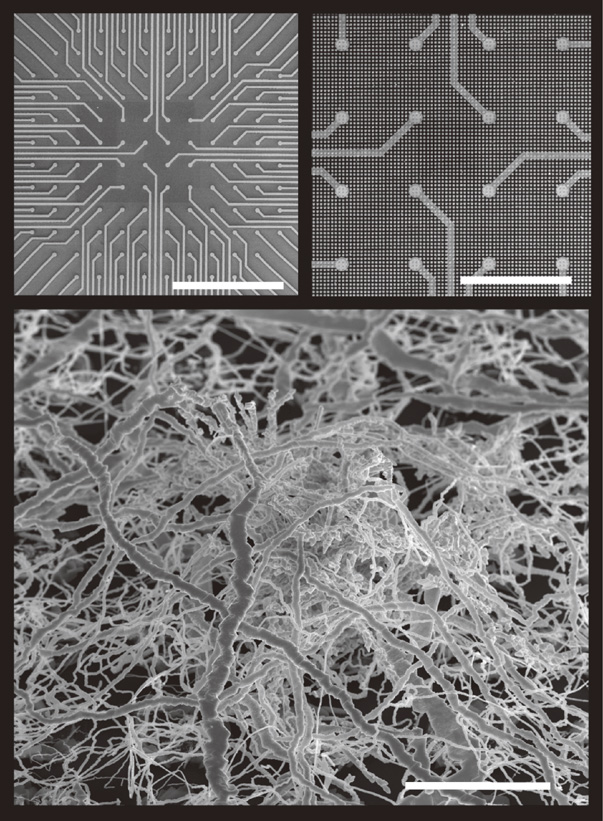 Atomic switch networks as complex adaptive systems - IOPscience