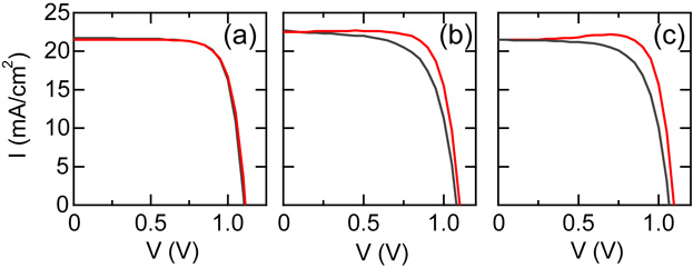 Photophysics of metal halide perovskites: From materials to devices ...