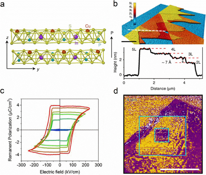 The path to flexible ferroelectrics: Approaches and progress - IOPscience
