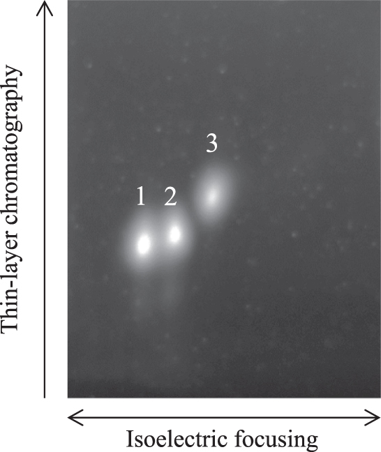 Charge/polarity-dependent 2D separation: a new chromatography for ...