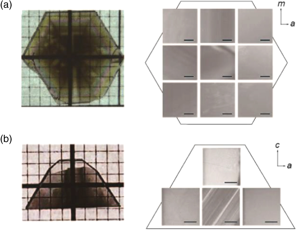 Recent progress of Na-flux method for GaN crystal growth - IOPscience