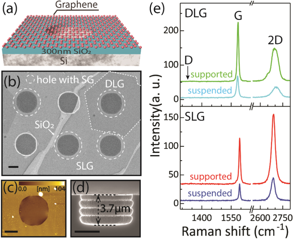 Raman intensity oscillation of graphene over SiO2/Si micro-cavity ...
