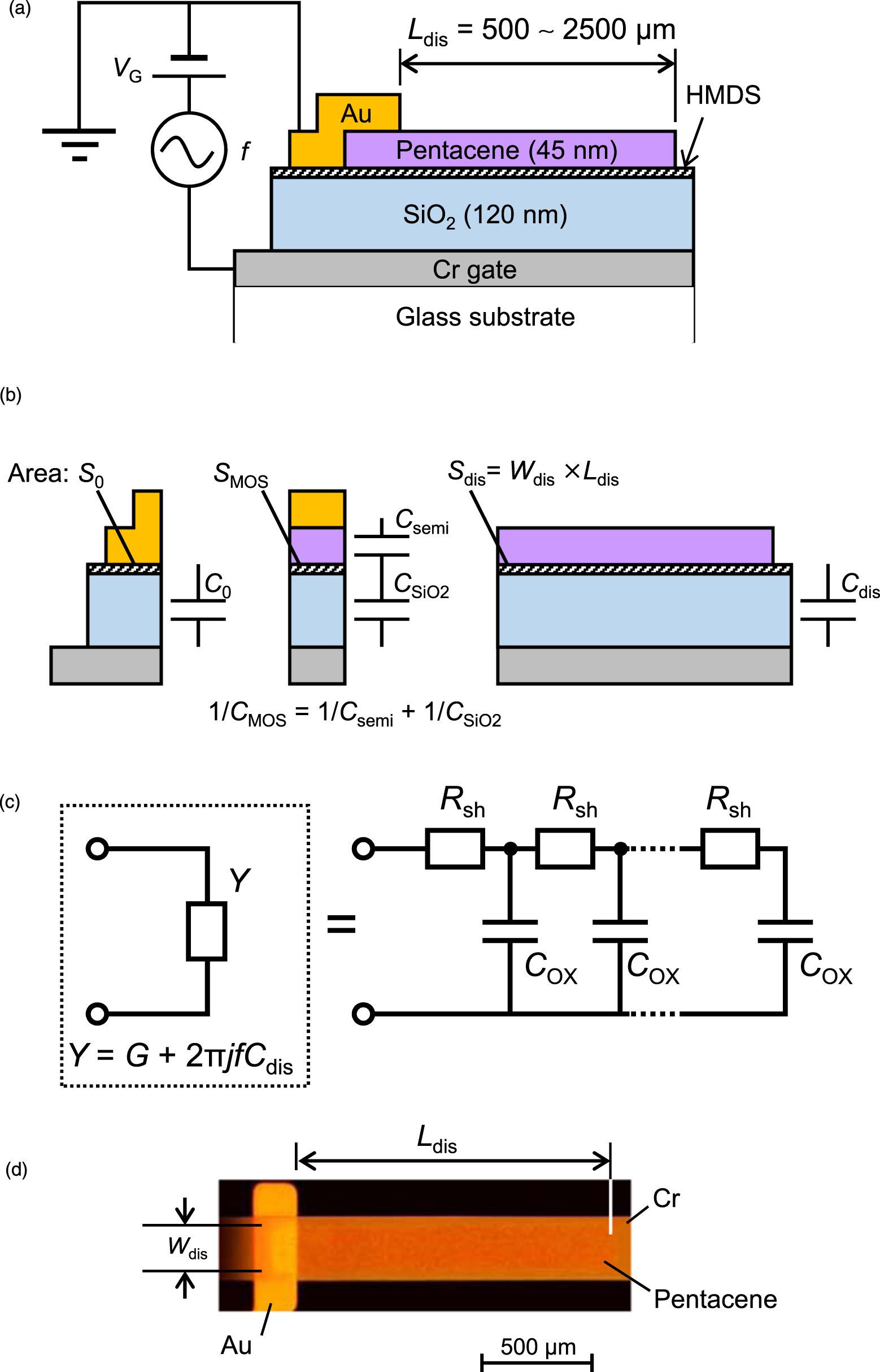 Evaluation of organic metal-oxide-semiconductor capacitors based on a ...