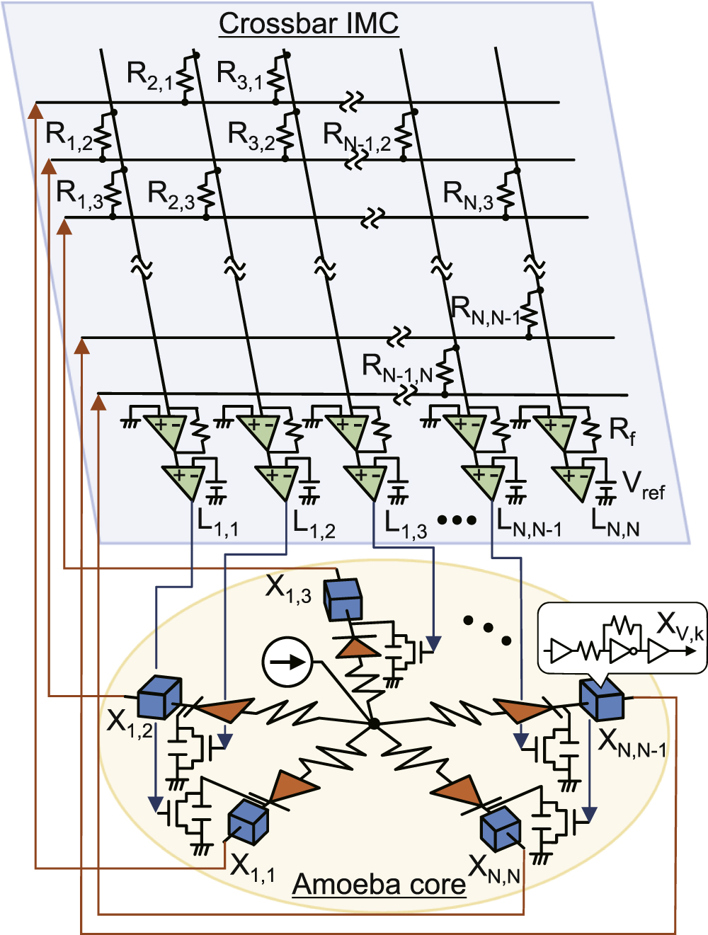 Amoeba-inspired combinatorial optimization machines - IOPscience