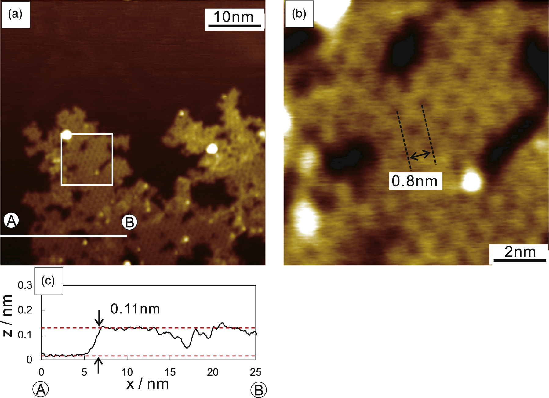 Mesh structure formed by hexabromotriphenylene on Au (111) and Cu (111 ...