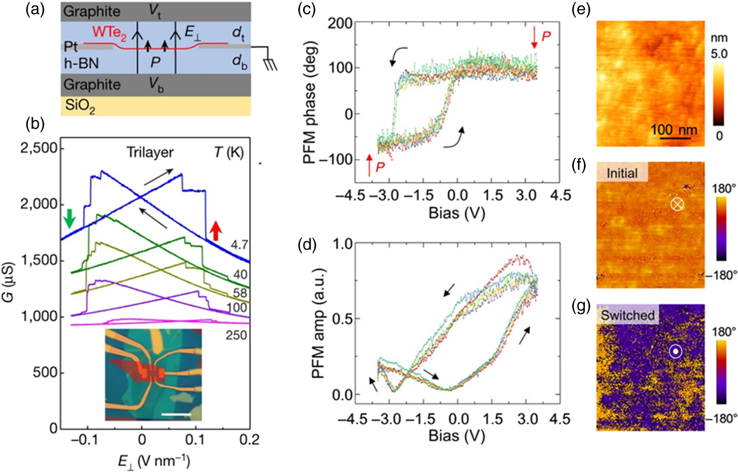 Review on ferroelectric/polar metals - IOPscience