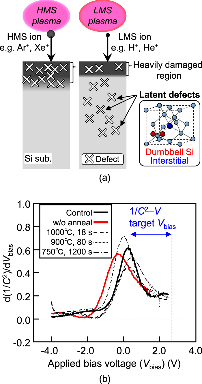 Characterization of dynamic behaviors of defects in Si substrates ...