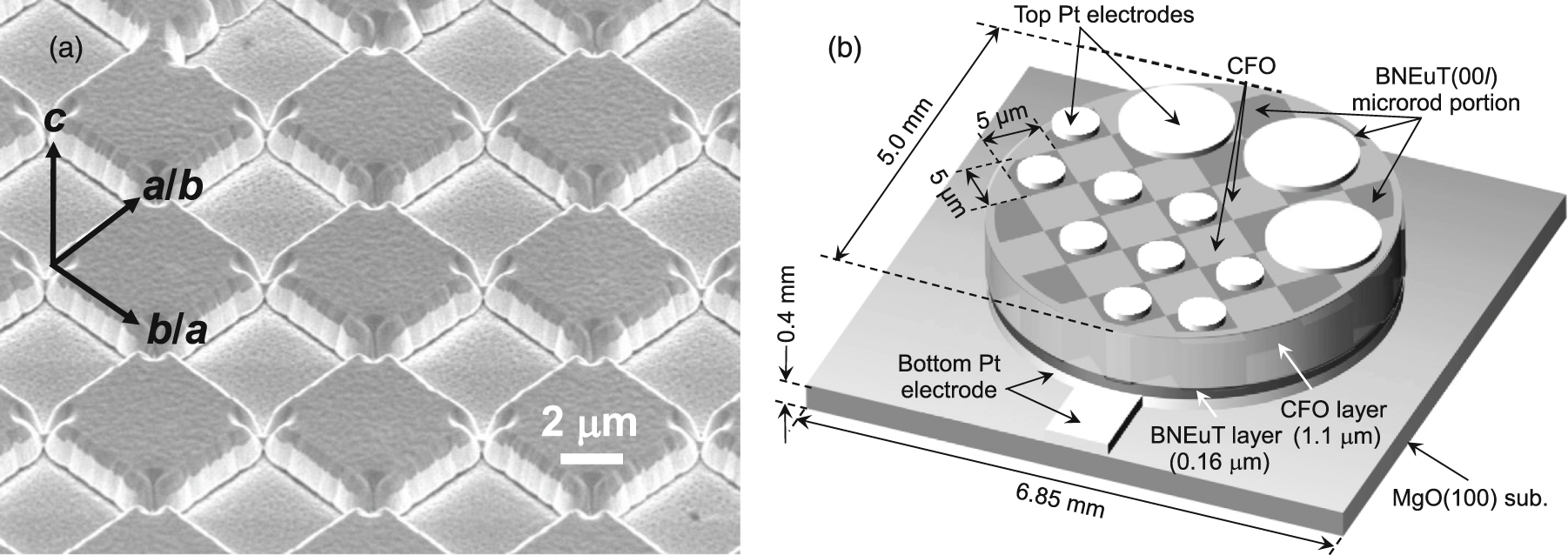Fabrication and physical properties of microrod-type multiferroic ...