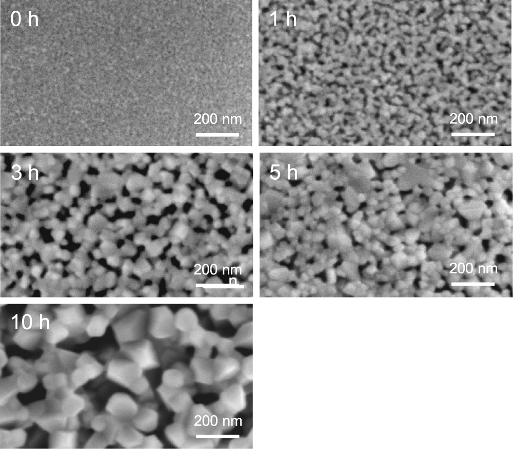 Fabrication and physical properties of microrod-type multiferroic ...