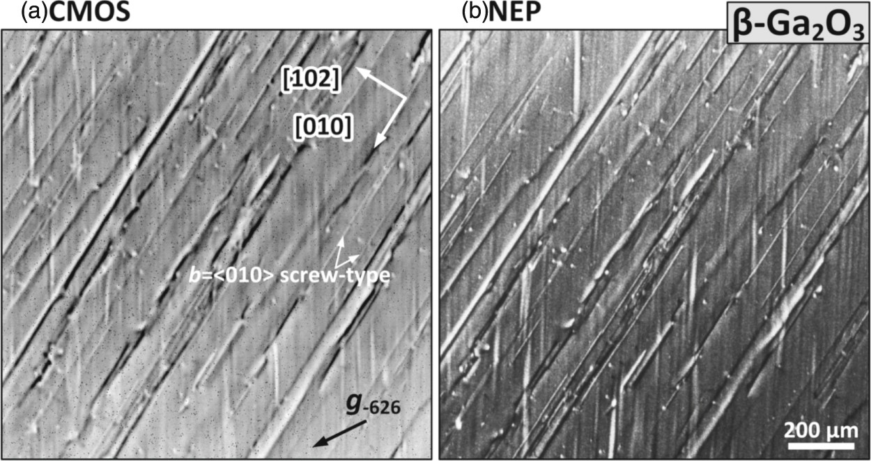 X-ray topography of crystallographic defects in wide-bandgap ...