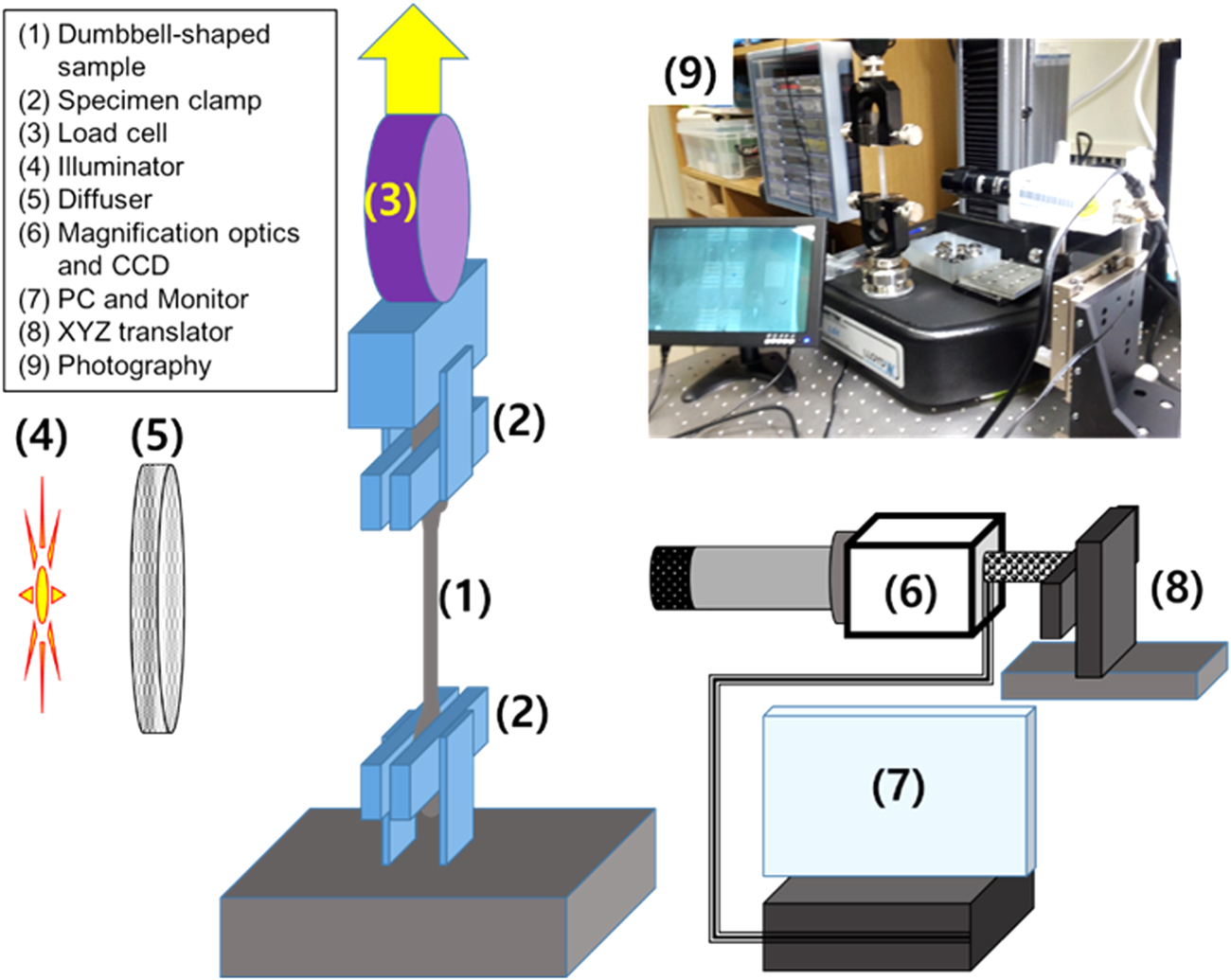 Poisson's ratio measurement through engraving the grid pattern inside ...