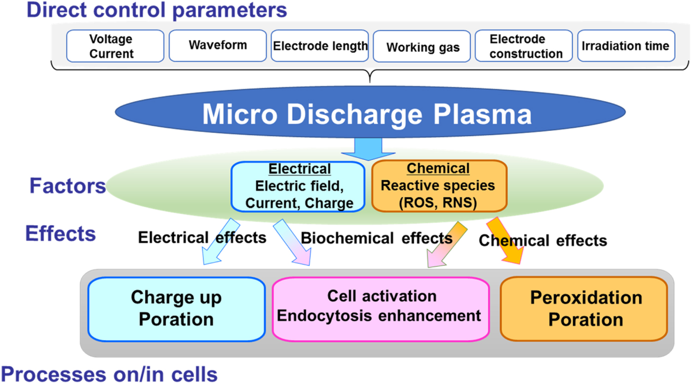 The new technology of molecular and gene introduction method using ...