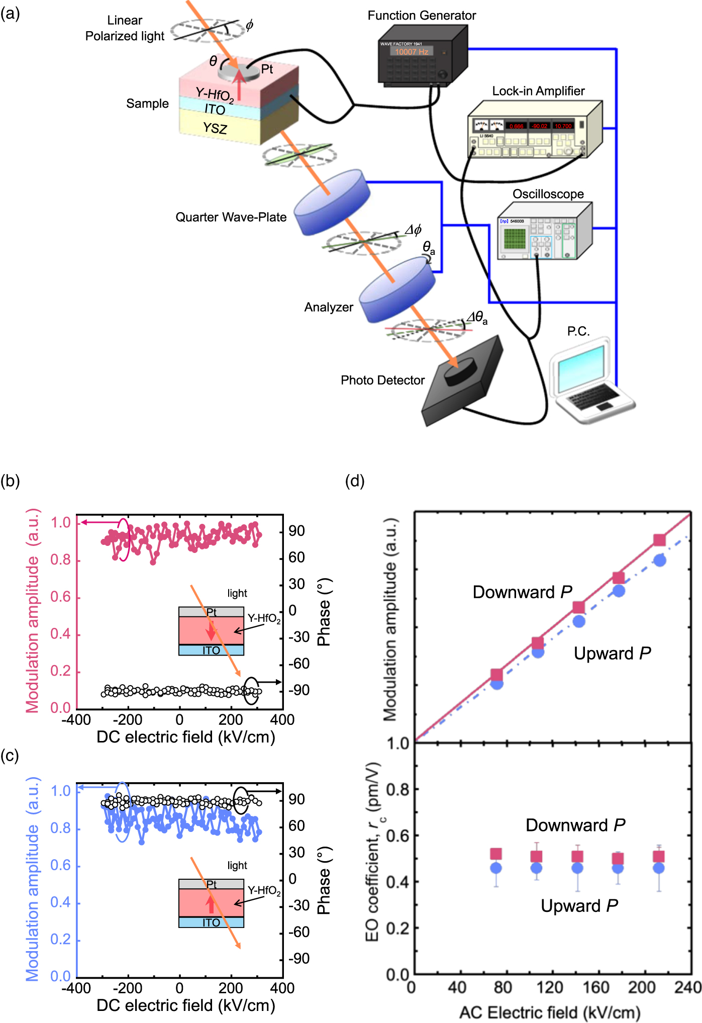 Linear electro-optic effect in ferroelectric HfO2-based epitaxial thin ...