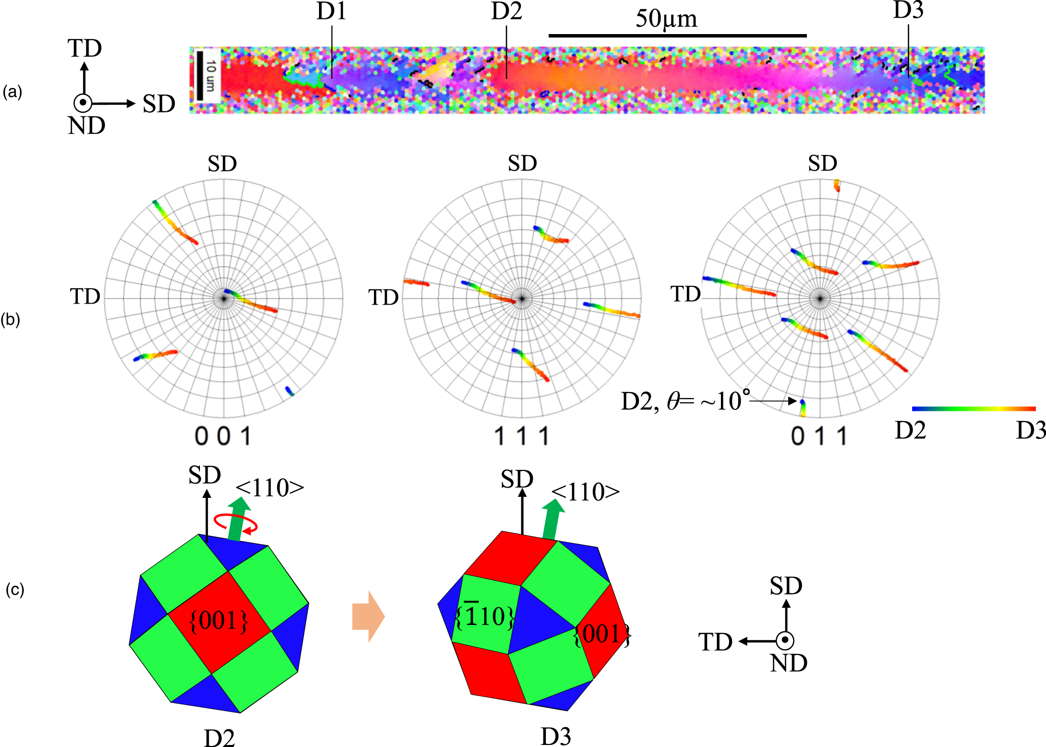Tendency of crystal orientation rotation toward stable {001} during ...