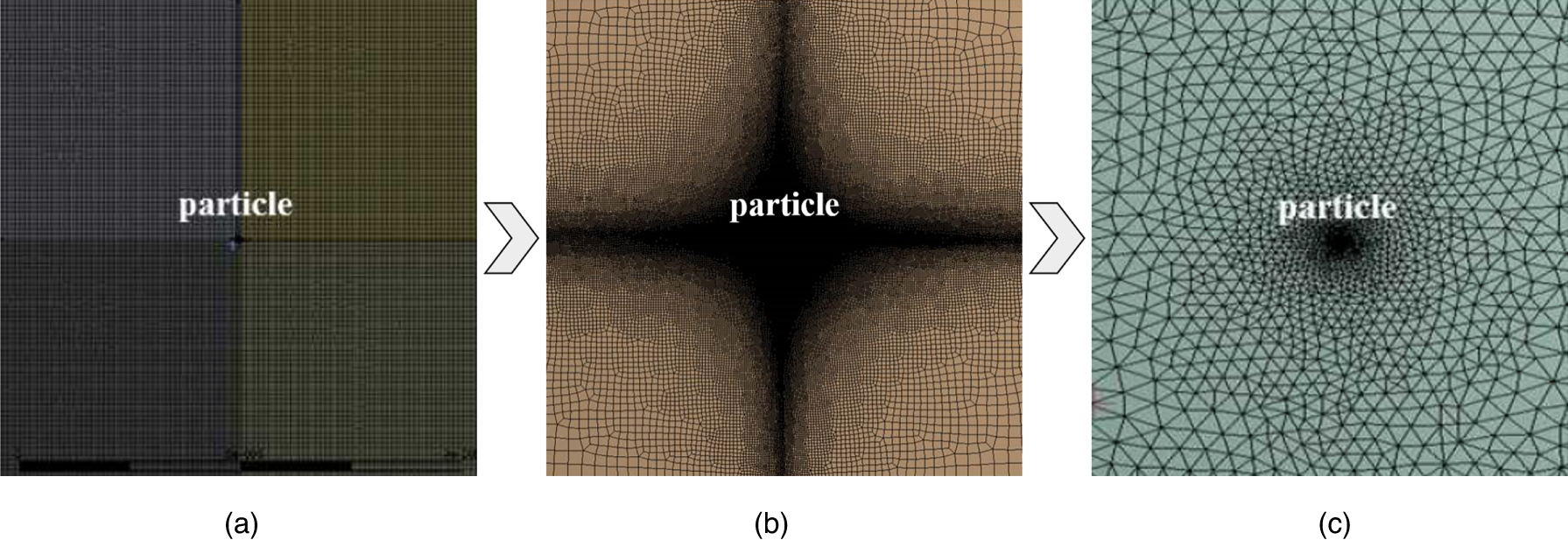 Thermomechanical stability evaluation of various pellicle structures with contaminant particles ...