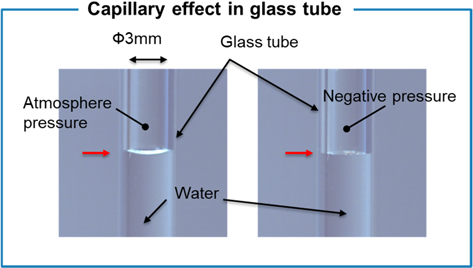 Pattern collapse mitigation by controlling atmosphere during ...