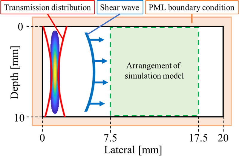Verification of the influence of liver microstructure on the evaluation ...