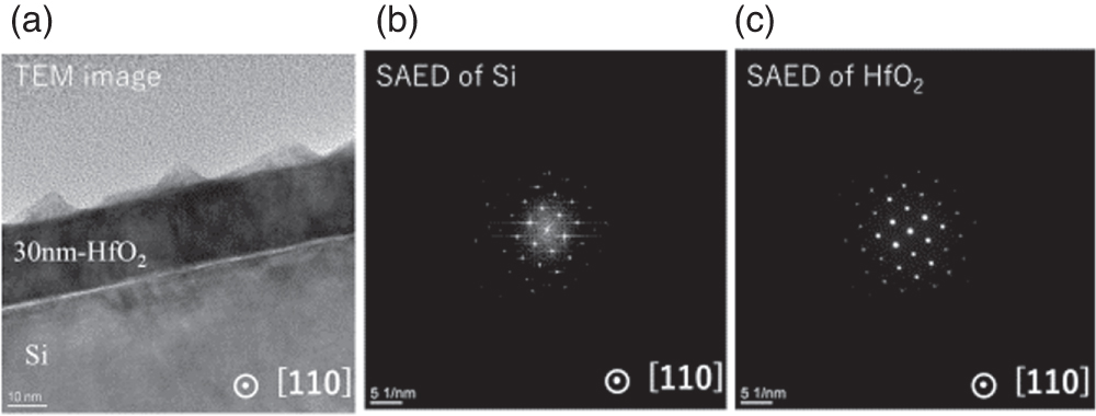 Epitaxial growth technique for single-crystalline PbTiO3 thin film on ...
