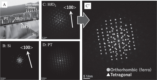 Epitaxial growth technique for single-crystalline PbTiO3 thin film on ...