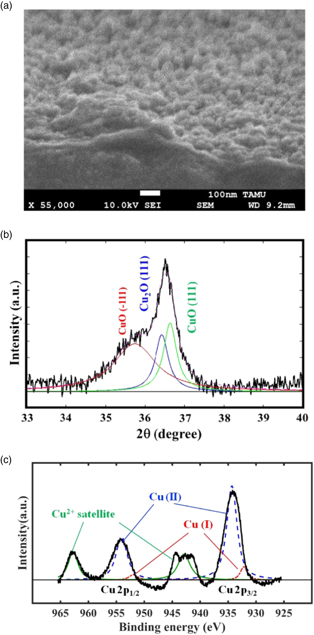 Plasma oxidation as an effective method in etching copper interconnect ...