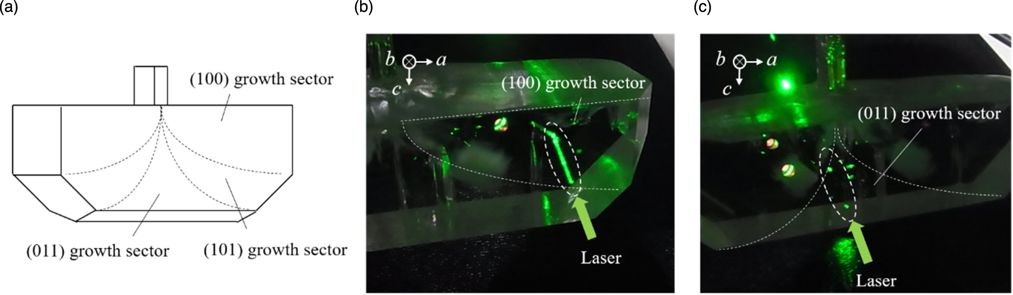 Kyropoulos growth of a 300 g SrB4O7 single crystal using a twin-type ...