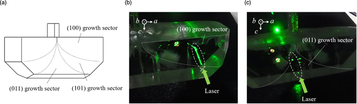 Kyropoulos growth of a 300 g SrB4O7 single crystal using a twin-type ...