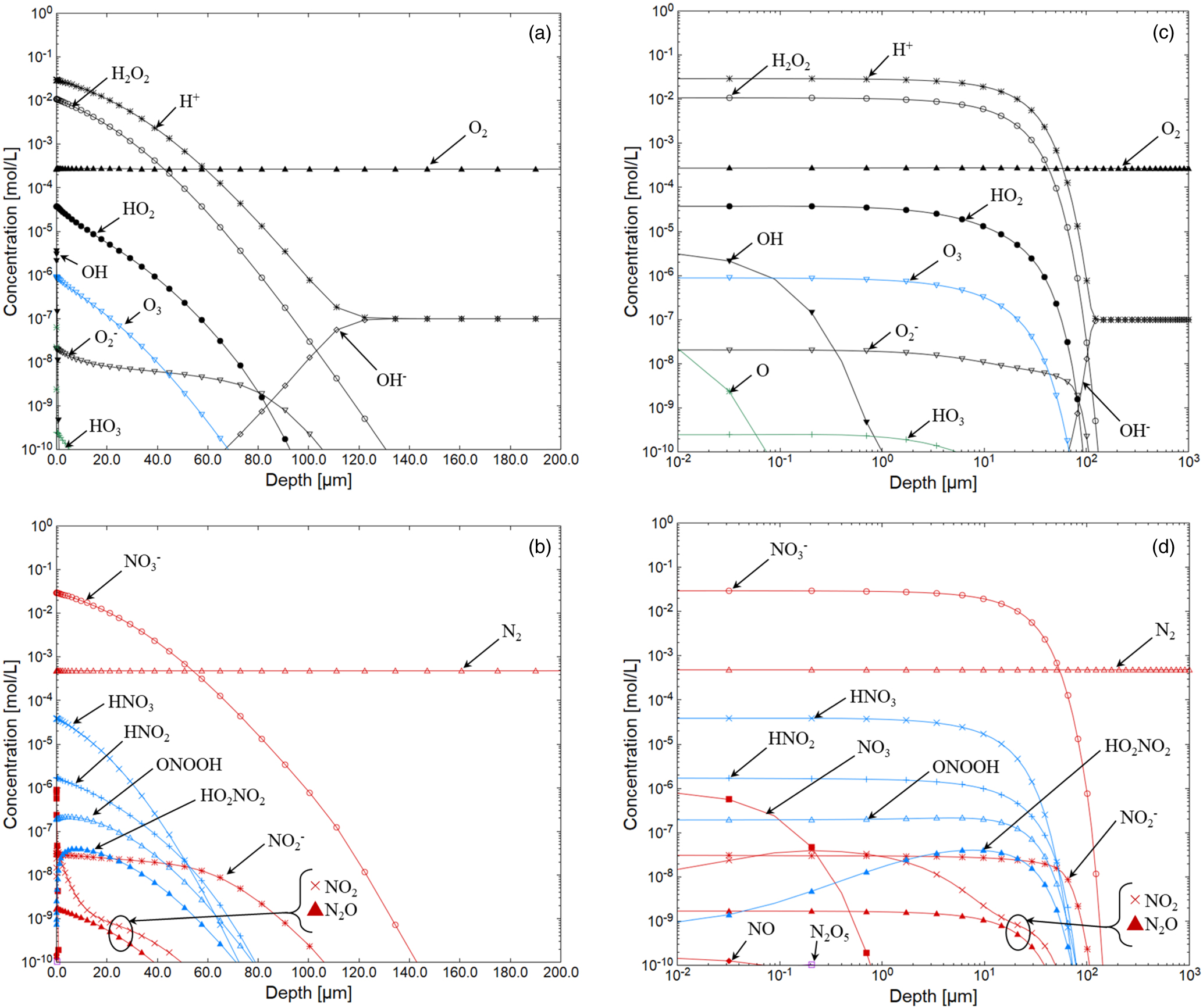 Roles of the reaction boundary layer and long diffusion of stable ...