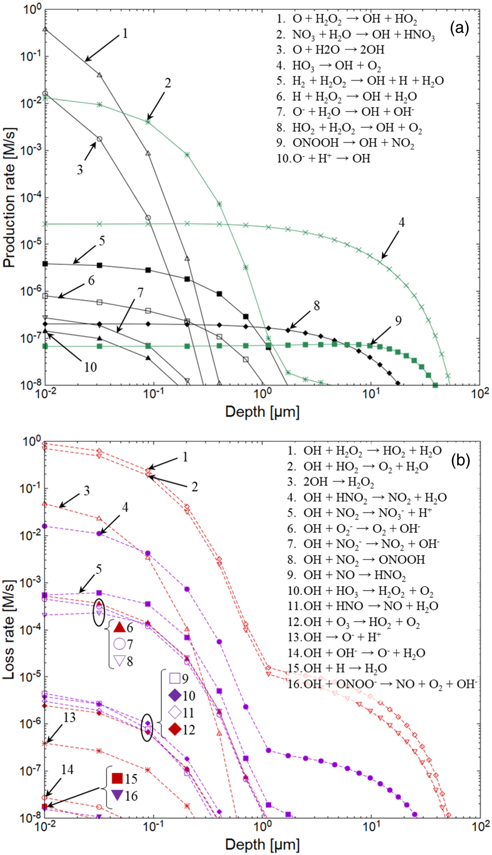 Roles of the reaction boundary layer and long diffusion of stable ...