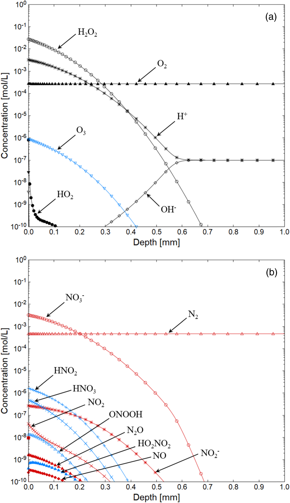 Roles of the reaction boundary layer and long diffusion of stable ...
