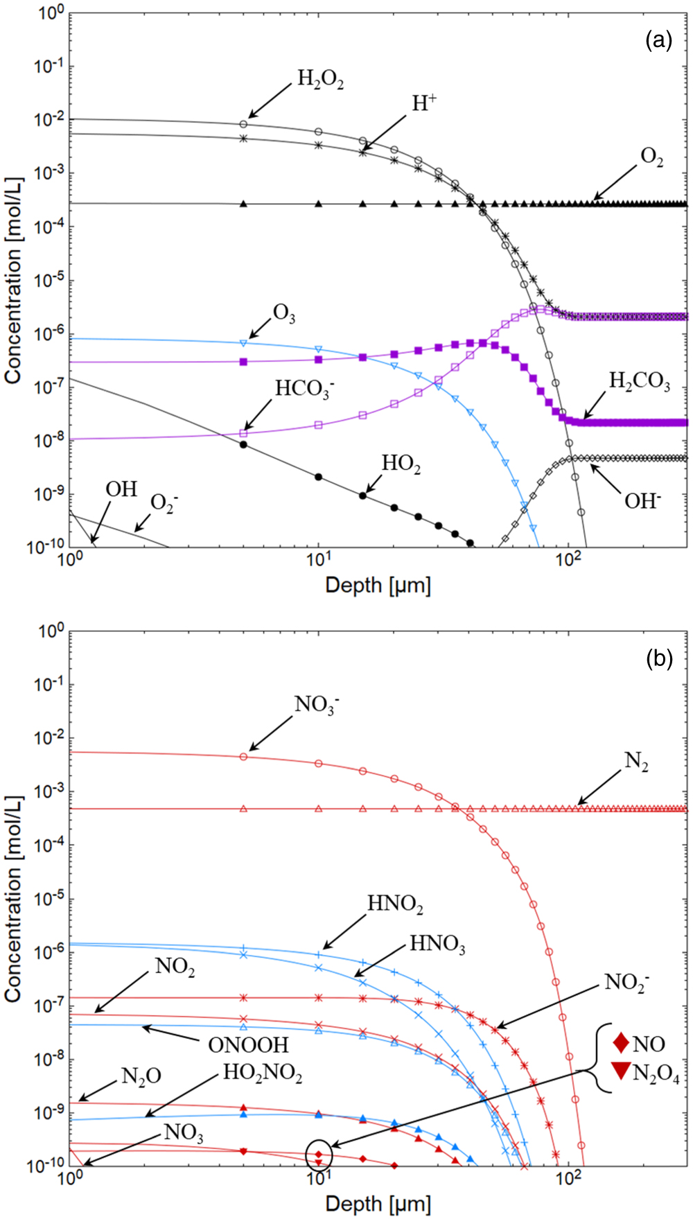Roles of the reaction boundary layer and long diffusion of stable ...